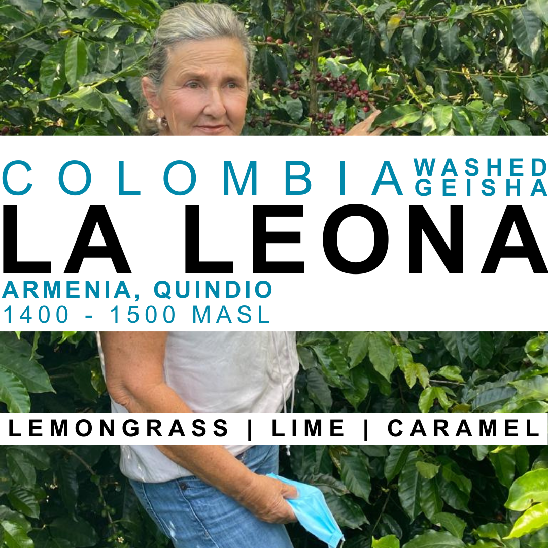 Geisha, Washed, Luz Helena | Ratio Coffee