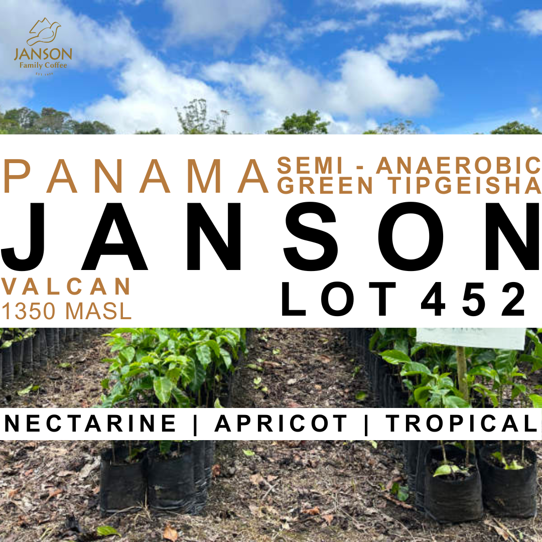 Green Tip Geisha, Semi-Anaerobic, Janson Family, Lot 452 | Ratio Coffee